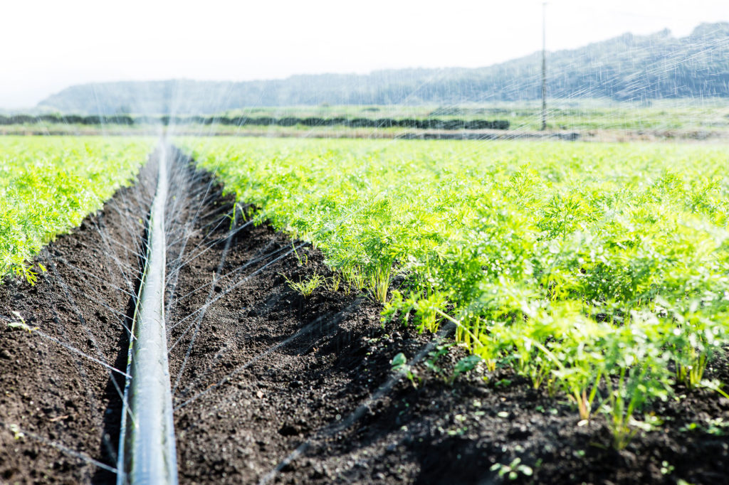 Sumisansui R Wide. La innovación en sistemas de riego - Sumitomo ...